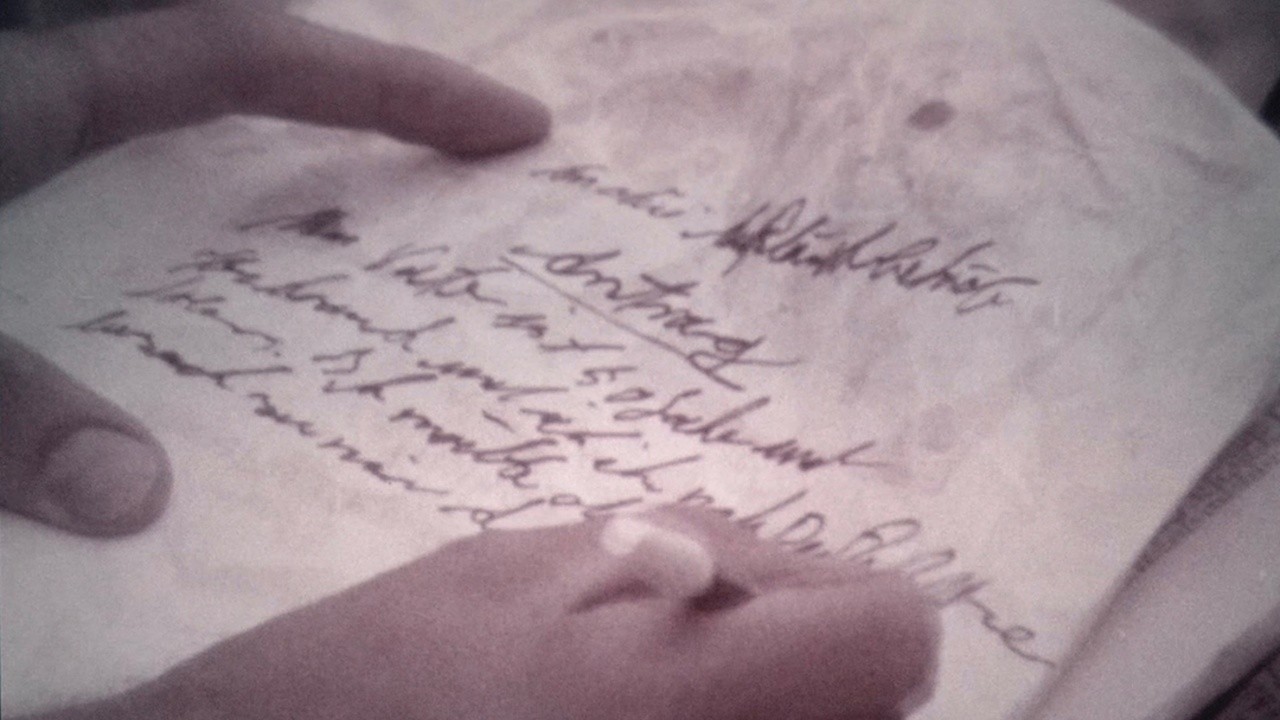 Request 1974 Mubi 2190