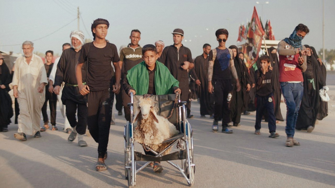 Ali and His Miracle Sheep (2021) | MUBI