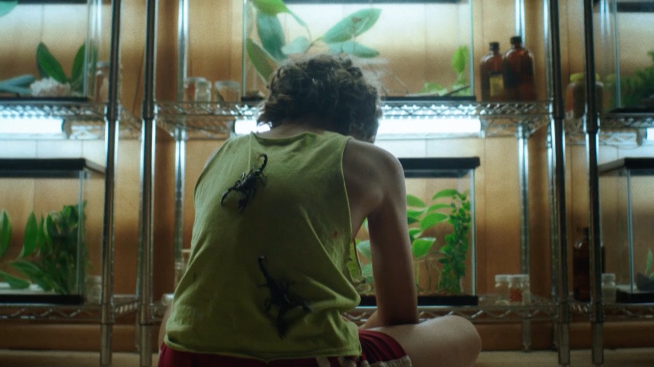 Without Pain (2012) | MUBI