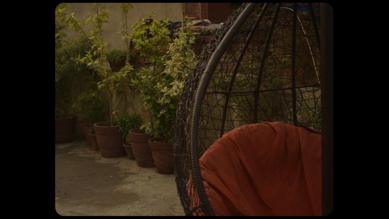 Yellow and Pink Time Machine (2021) | MUBI