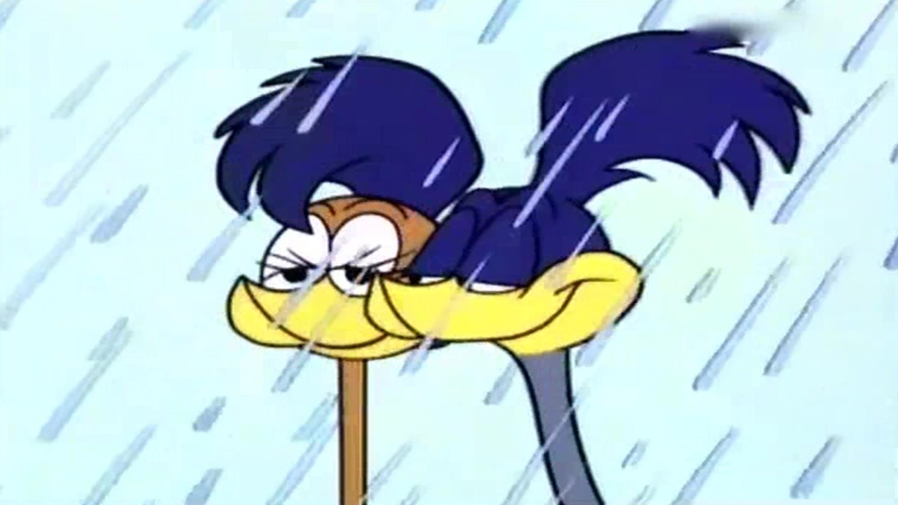 Run, Run, Sweet Road Runner (1965) | MUBI