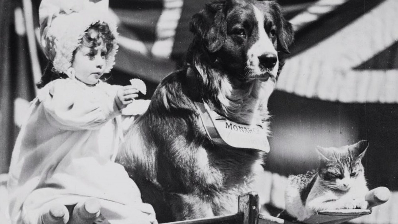 Me and My Two Friends (1898) | MUBI