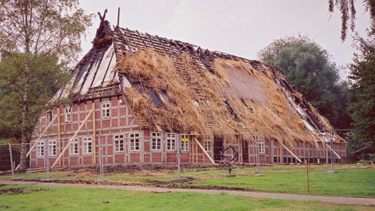 All That We Have (2004) | MUBI