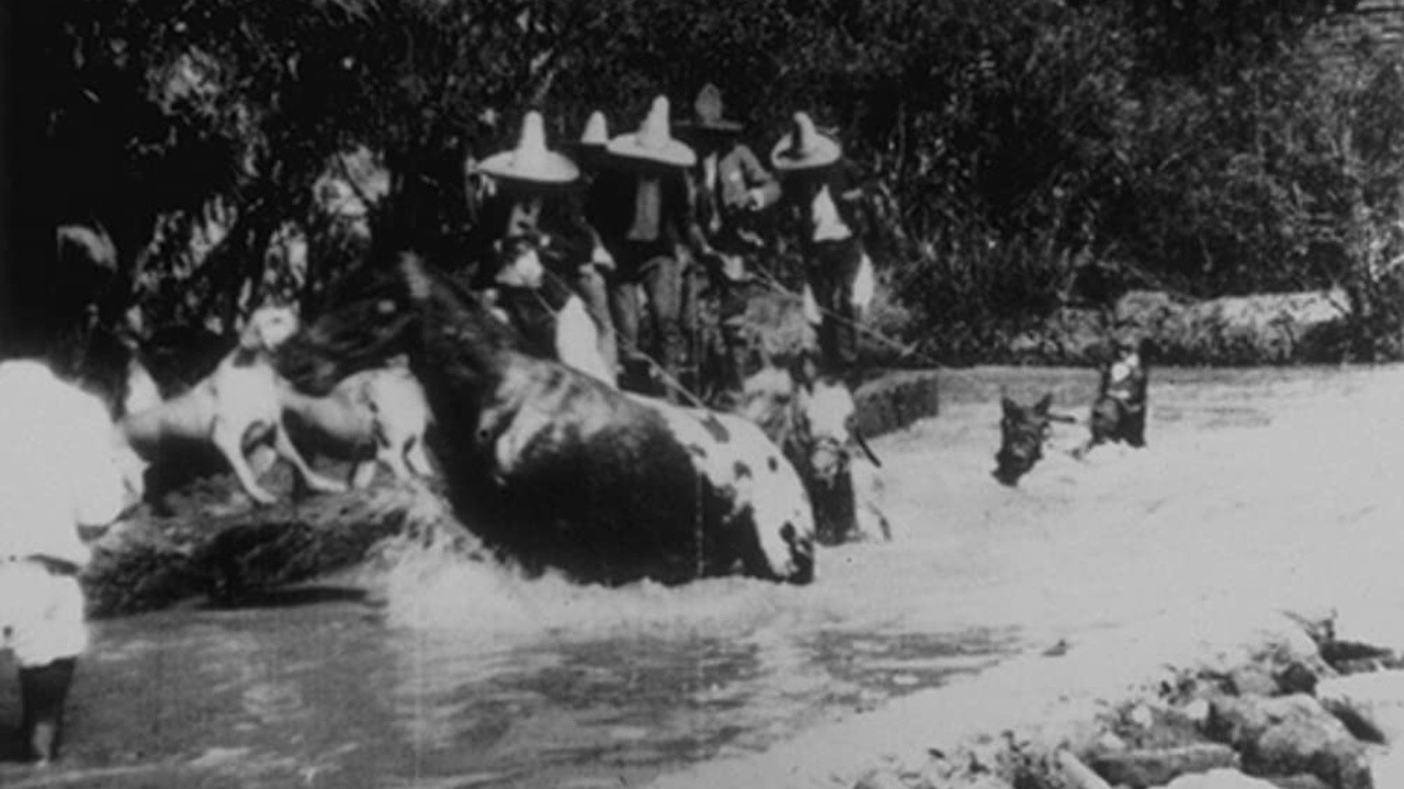 Baño de caballos (1896) | MUBI