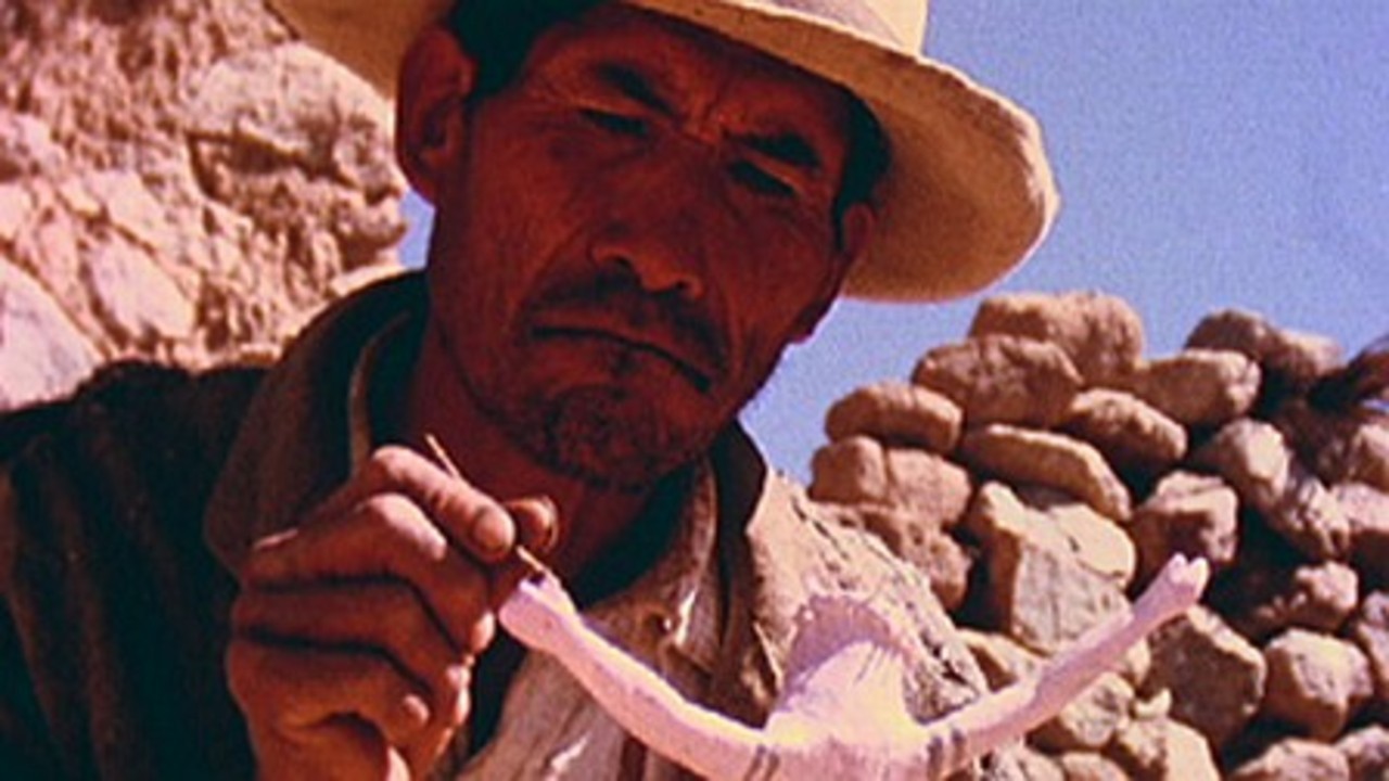 Hermógenes Cayo (1969) | MUBI