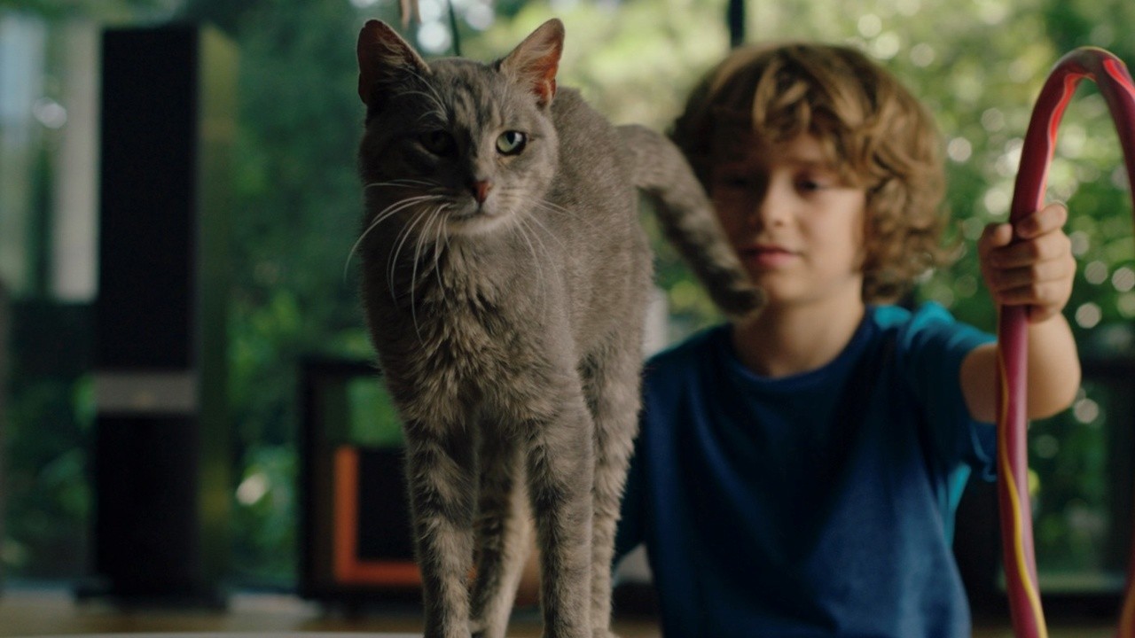 Digicat (2020) | MUBI