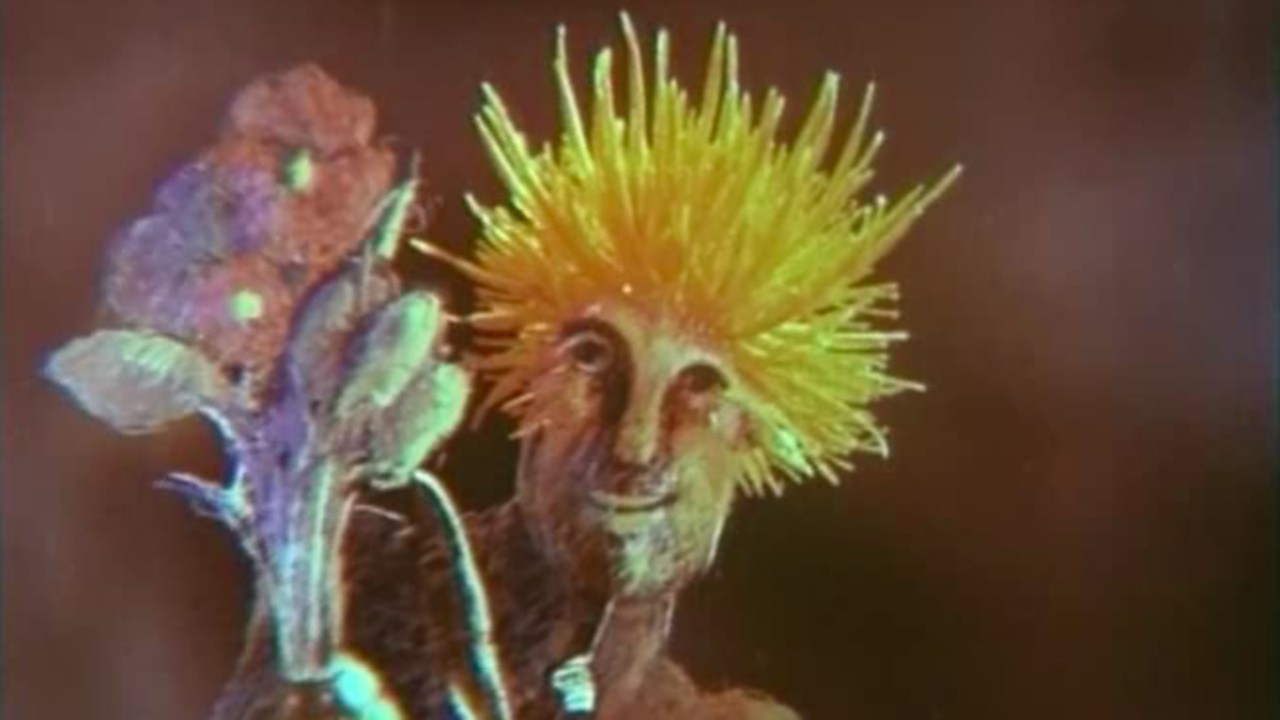 Look Again (1974) | MUBI