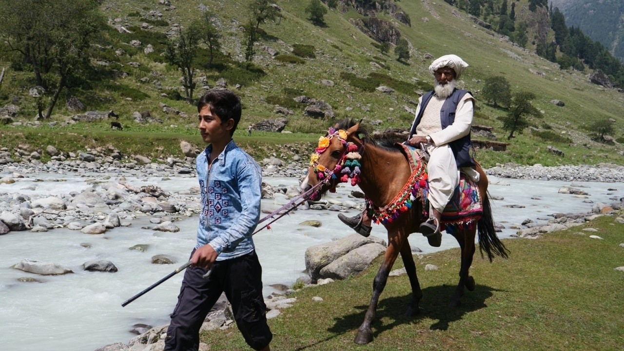 The Last Hope (2020) | MUBI