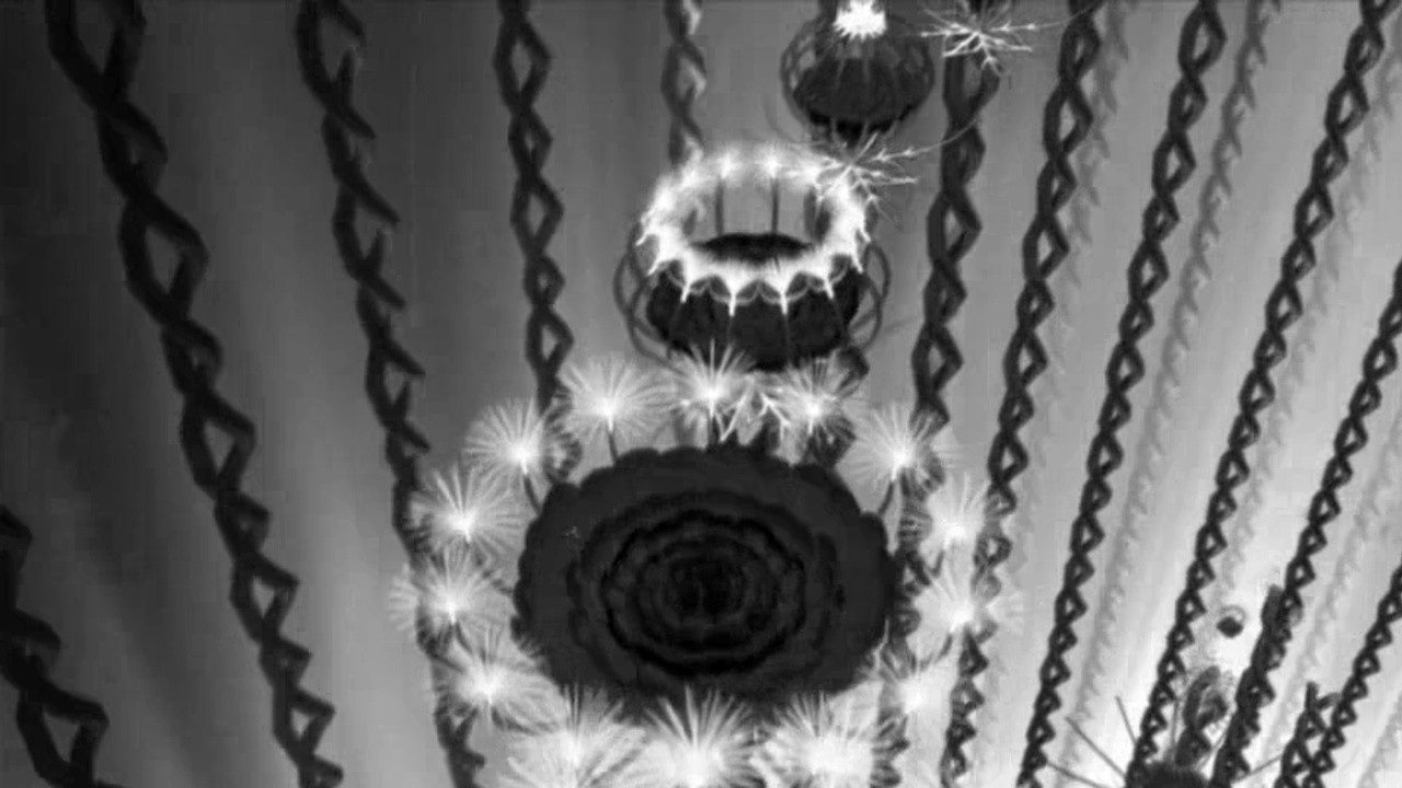 Stumble Then Rise on Some Awkward Morning (2004) | MUBI