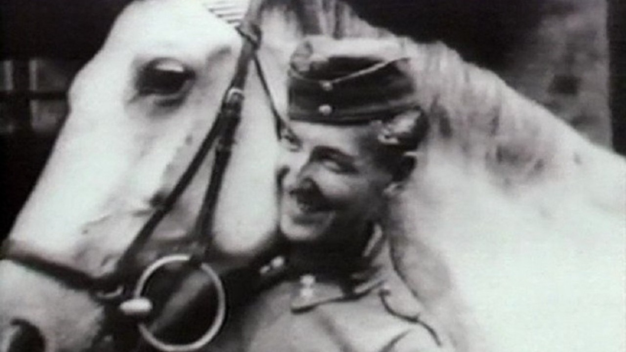 Waldheim: A Commission of Inquiry (1988) | MUBI