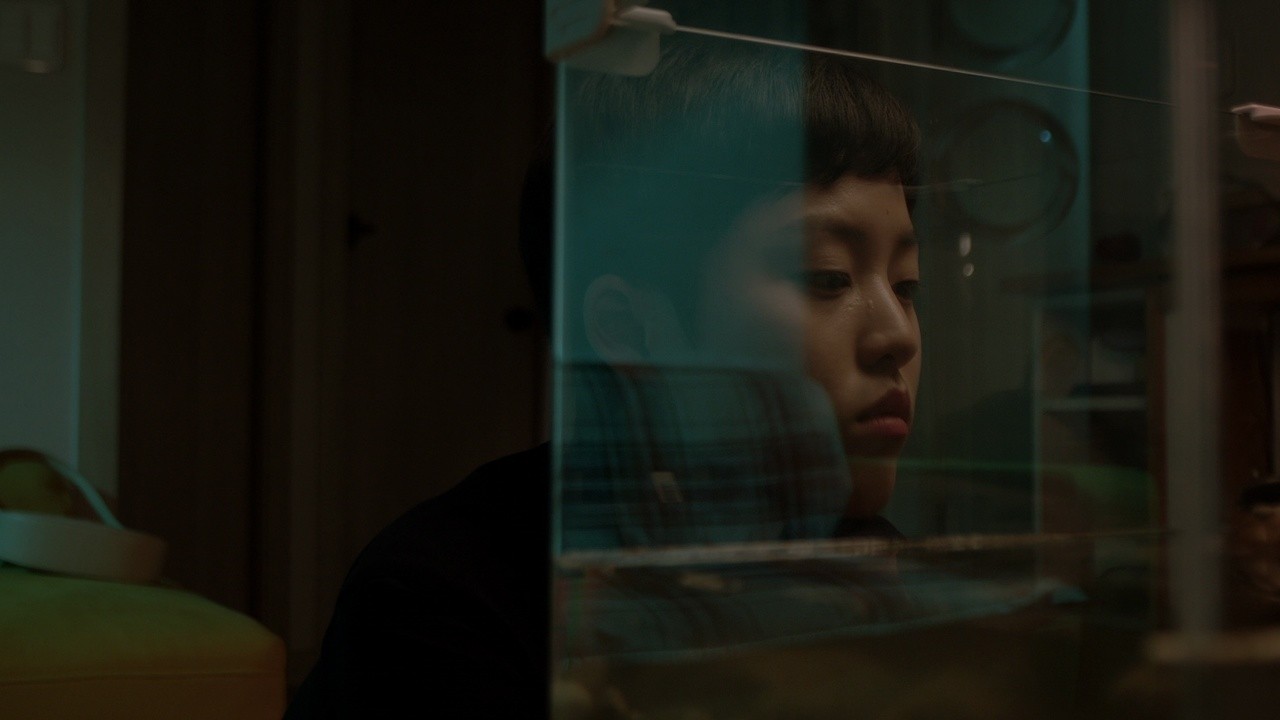 Source of the Odour (2021) | MUBI