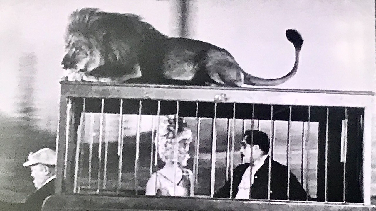 Sherlock Sleuth (1925) | MUBI