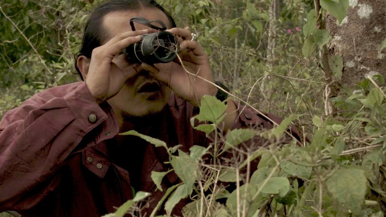 Noise In Exile (2021) | MUBI