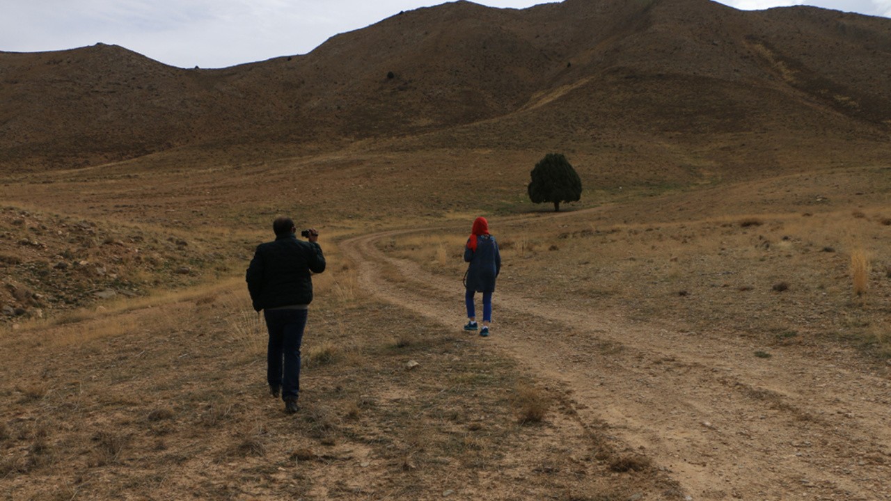 Walking with the Wind (2019) | MUBI