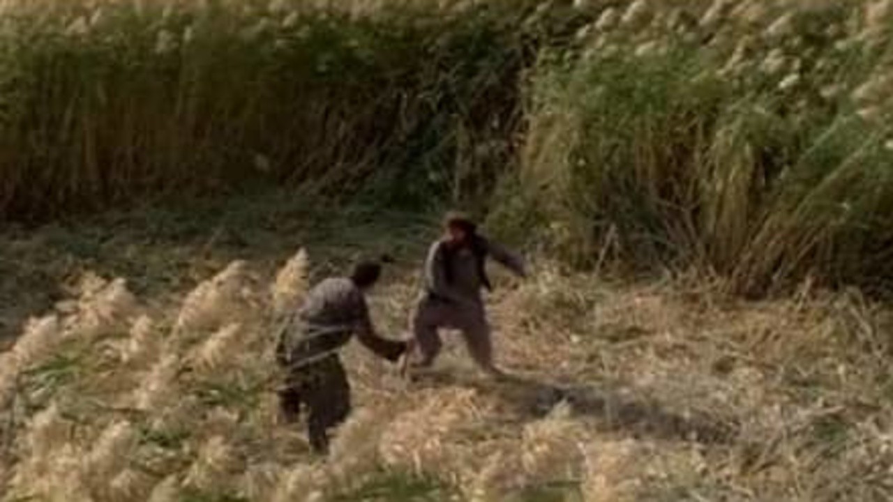 The Immigrant Birds (1987) | MUBI