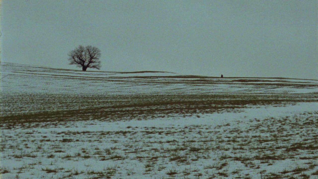 Svídna (2021) | MUBI