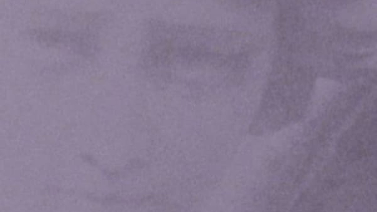 ‎Devotio Moderna (1993) | MUBI