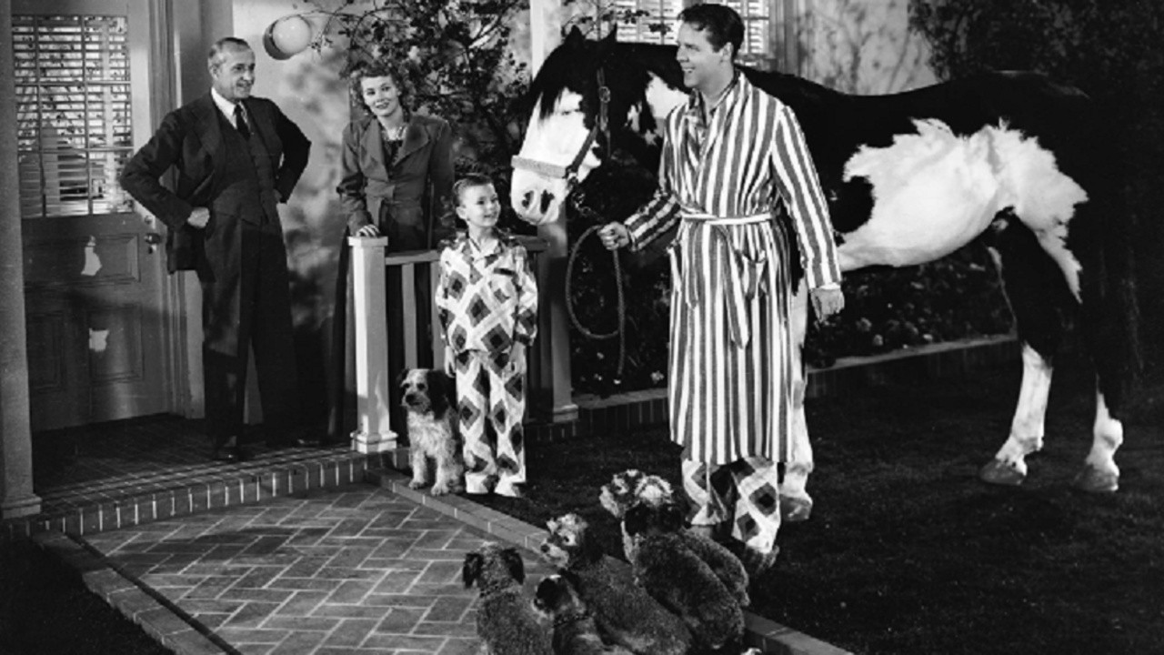 It's a Great Life (1943) | MUBI It's a Great Life (1943) | MUBI