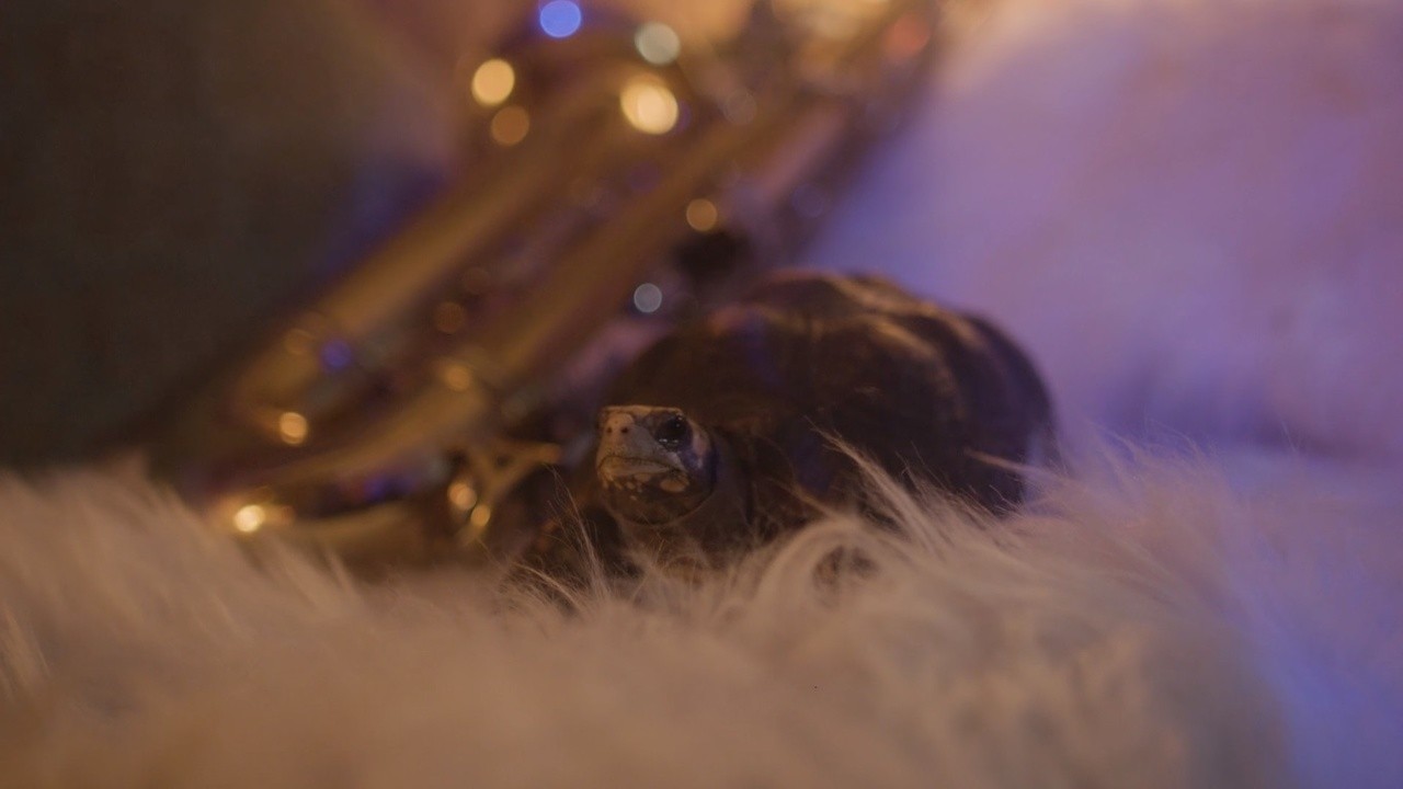 Date Movie 2019 Mubi