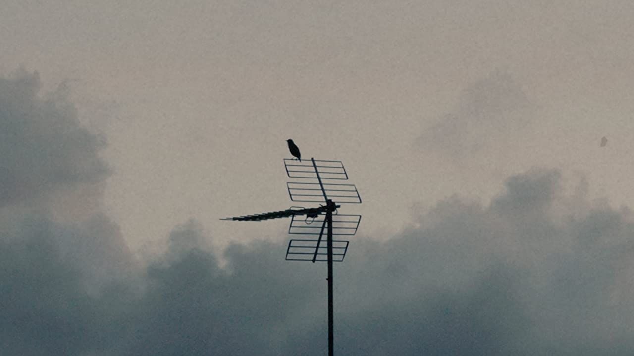 A Woman with a Camera (2021) | MUBI