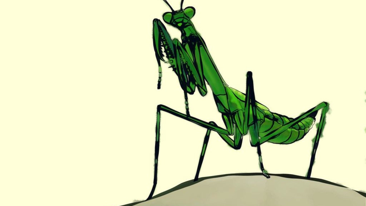 Mantis (2002) | MUBI