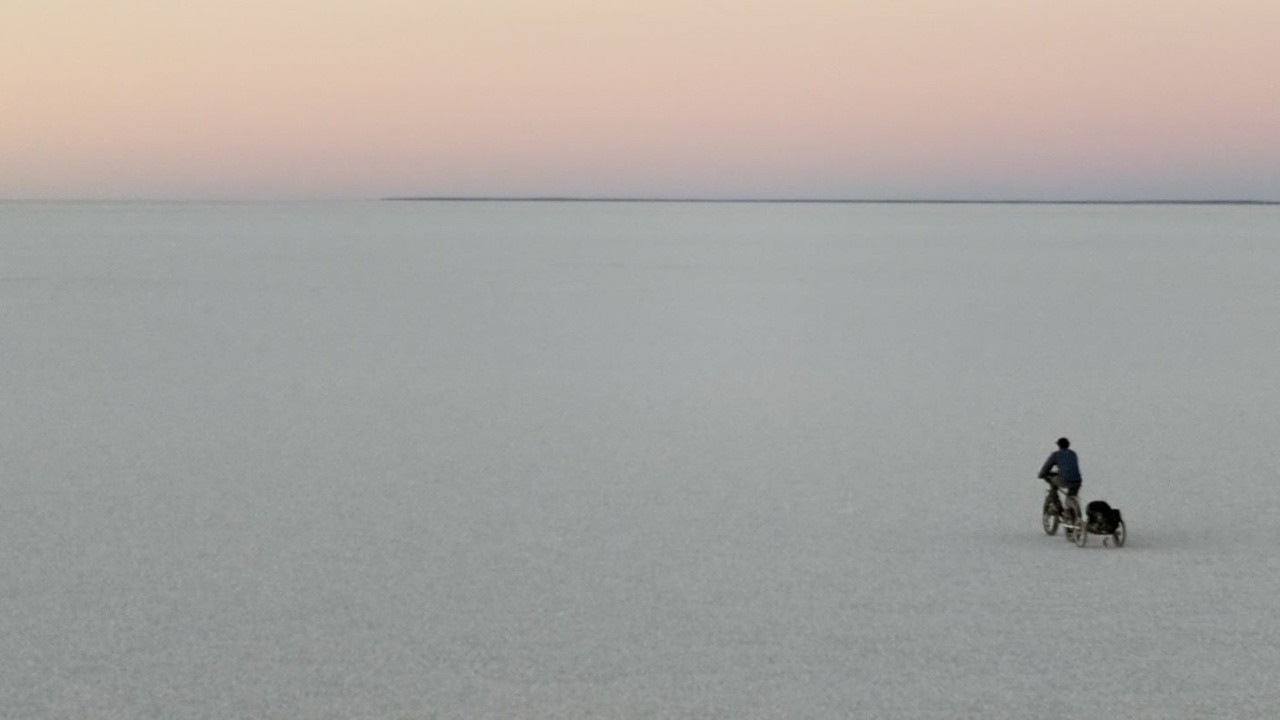 Salt (2009) | MUBI