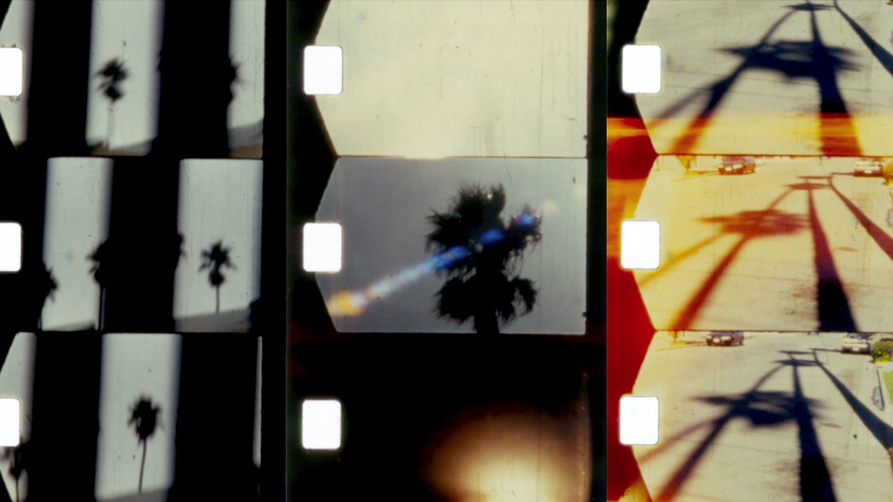 Palms (2012) | MUBI