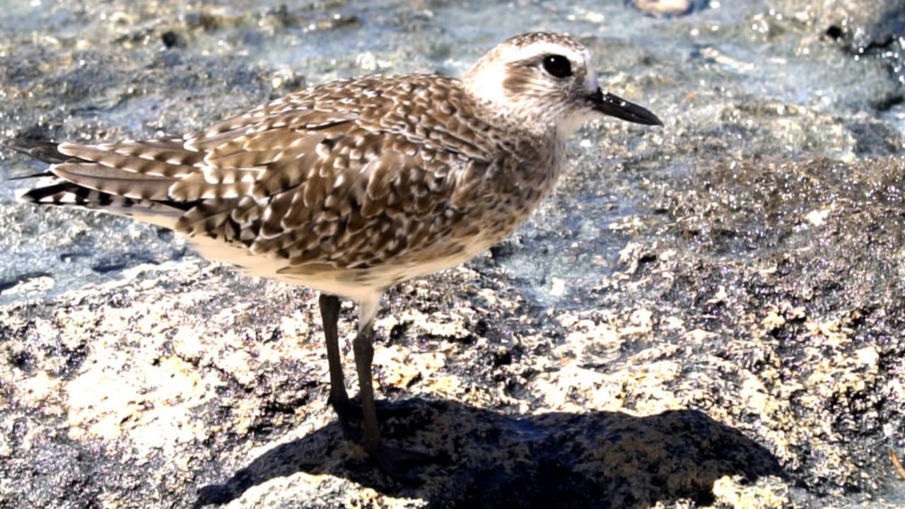 Dirty Look (2019) | MUBI