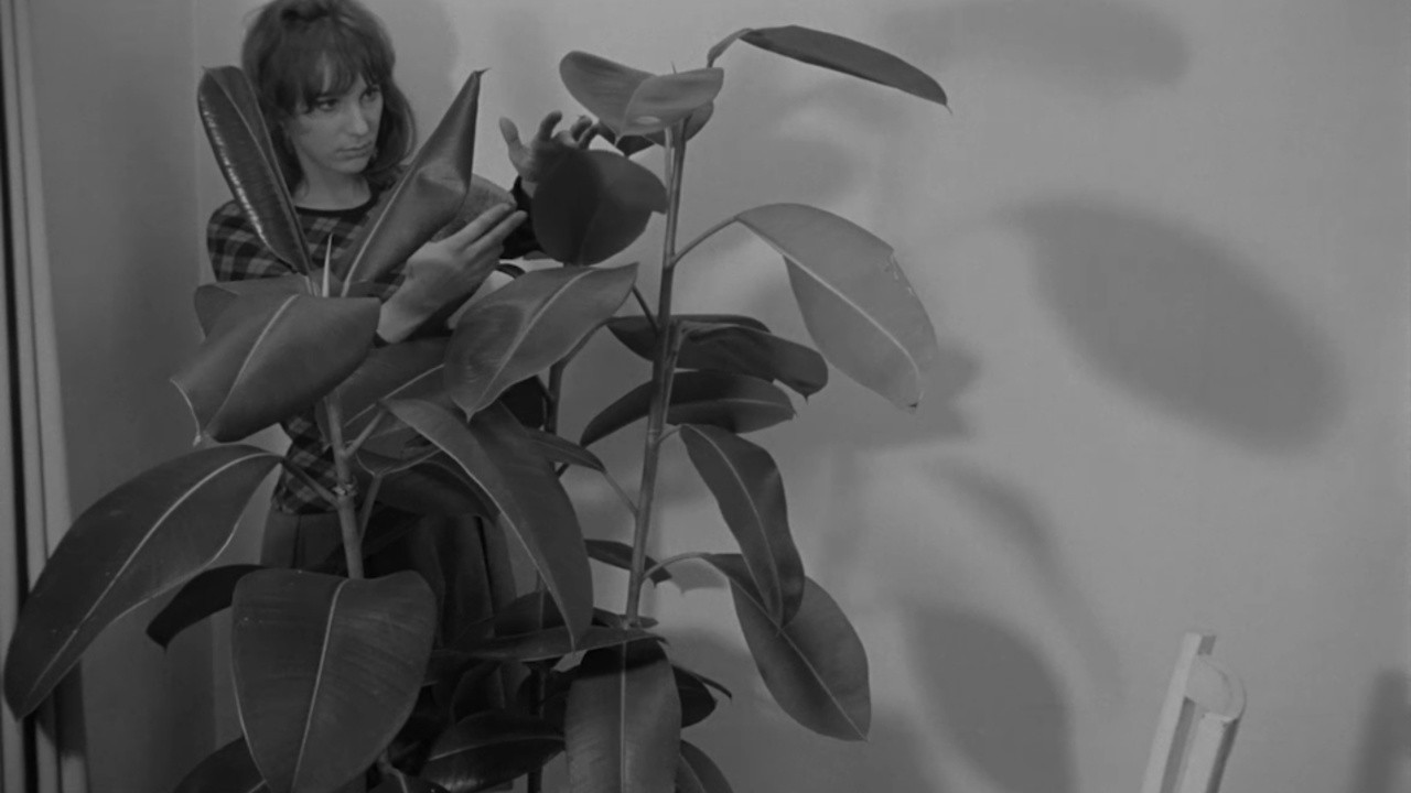 Miss Flora's Botanical Avatar (1965) | MUBI