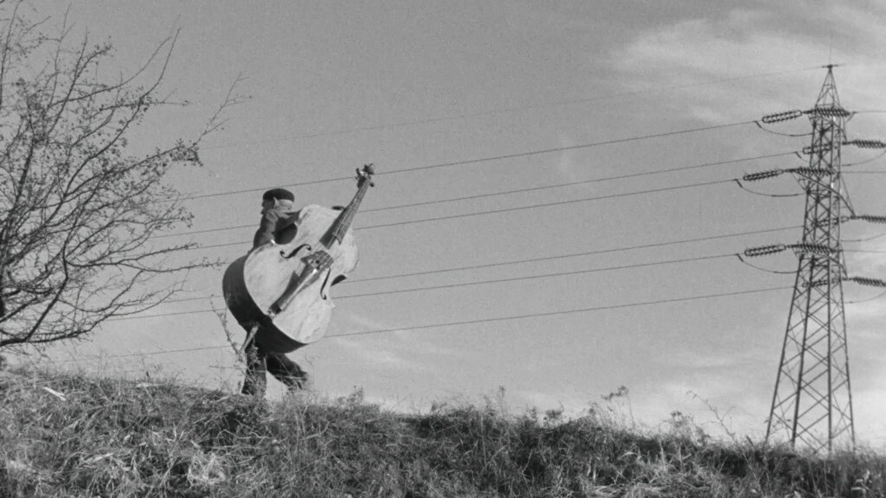 The Double Bass (1963) | MUBI