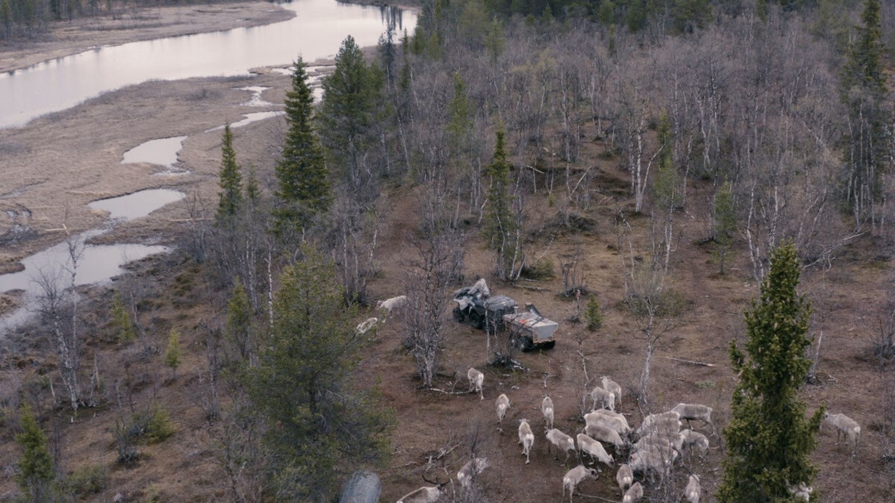 Borderline (2021) | MUBI