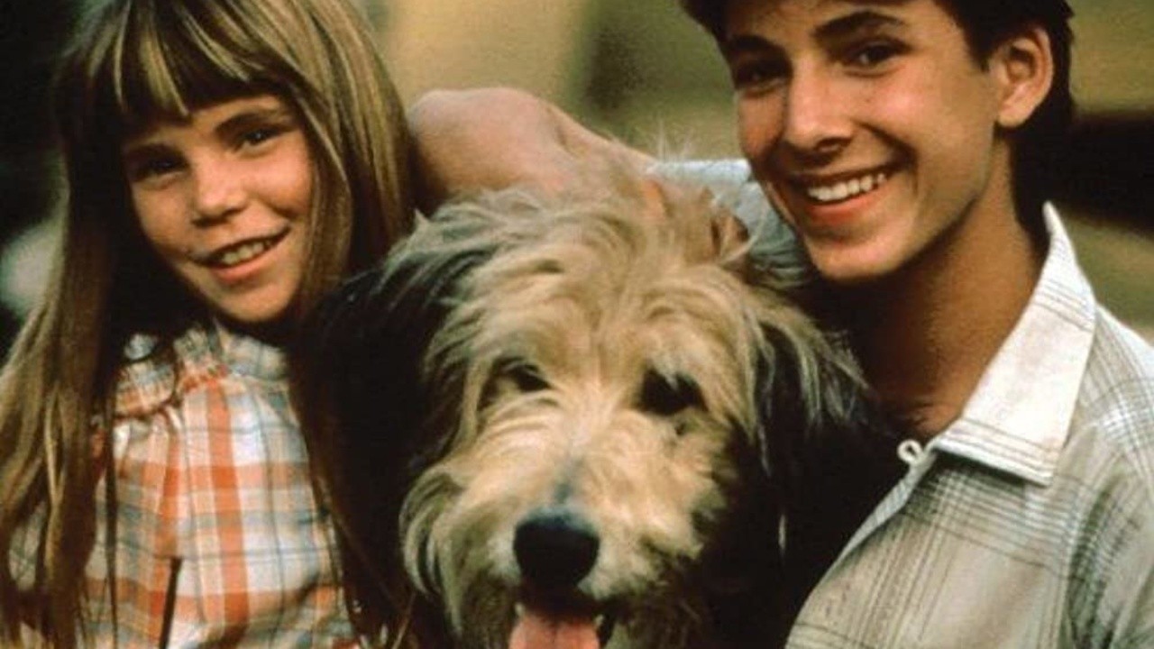 Casebusters (1986) | MUBI