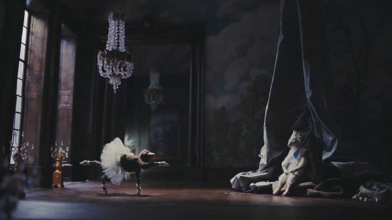 Louis I., King of the Sheep (2022) | MUBI