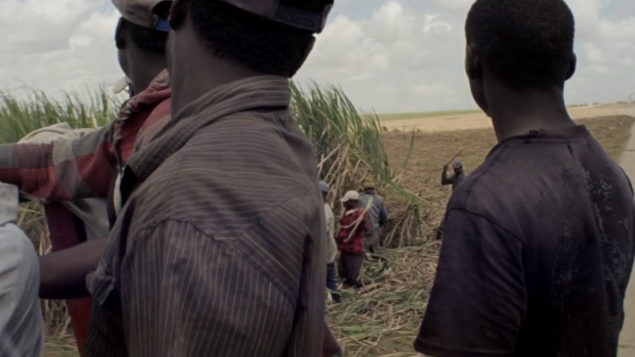 Viernes Santo 2014 Mubi