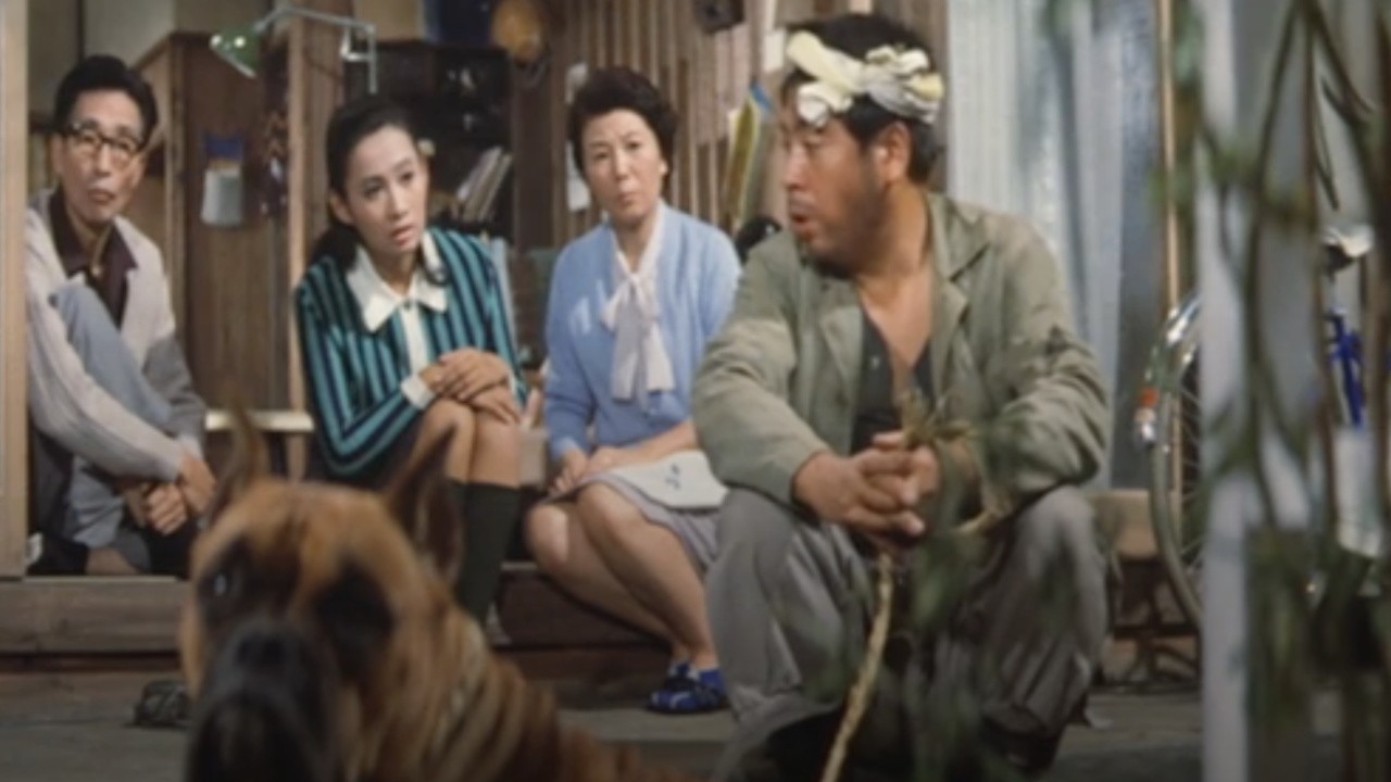 The Lovable Tramp (1966) | MUBI