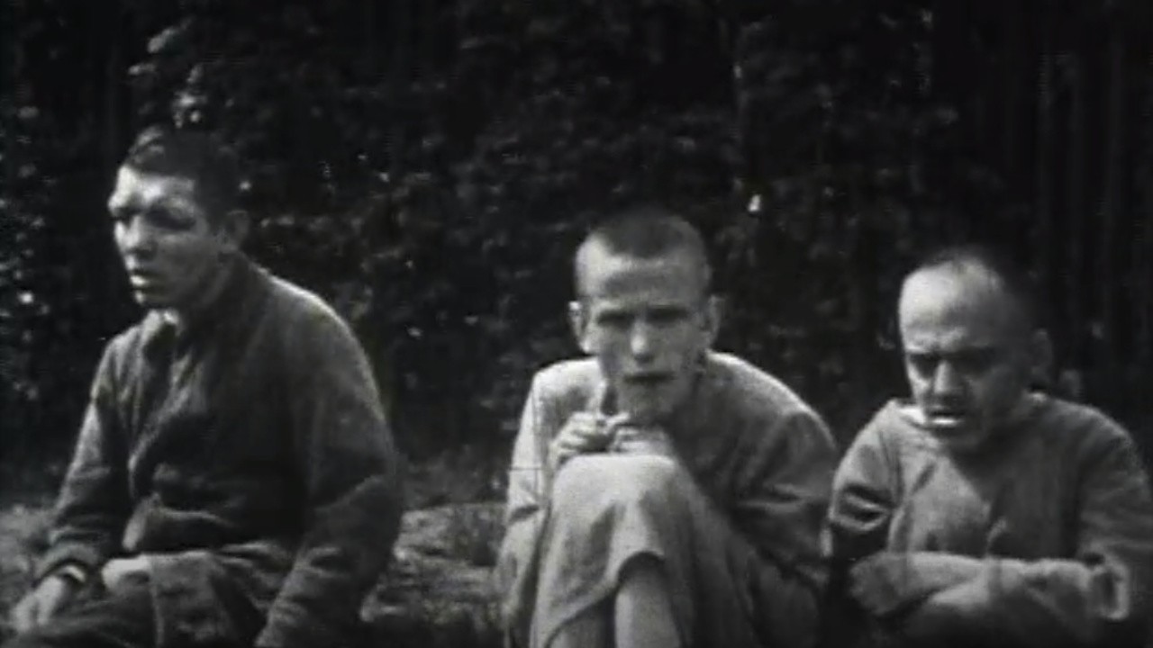 All Life is Struggle (1937) | MUBI