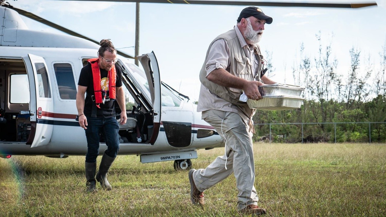We Feed People 2022 Mubi