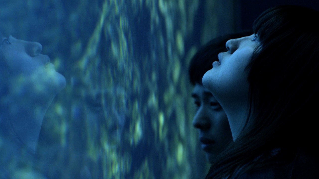 All of Our Heartbeats Are Connected Through Exploding Stars (2022) | MUBI