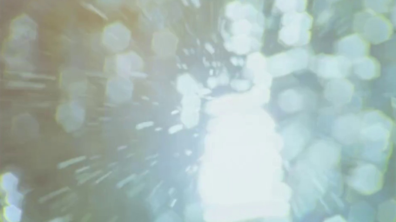 Nature Sex 2014 Mubi
