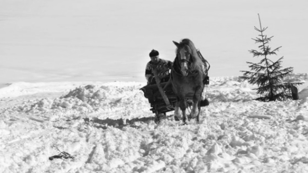 Wooden Bread 1969 Mubi