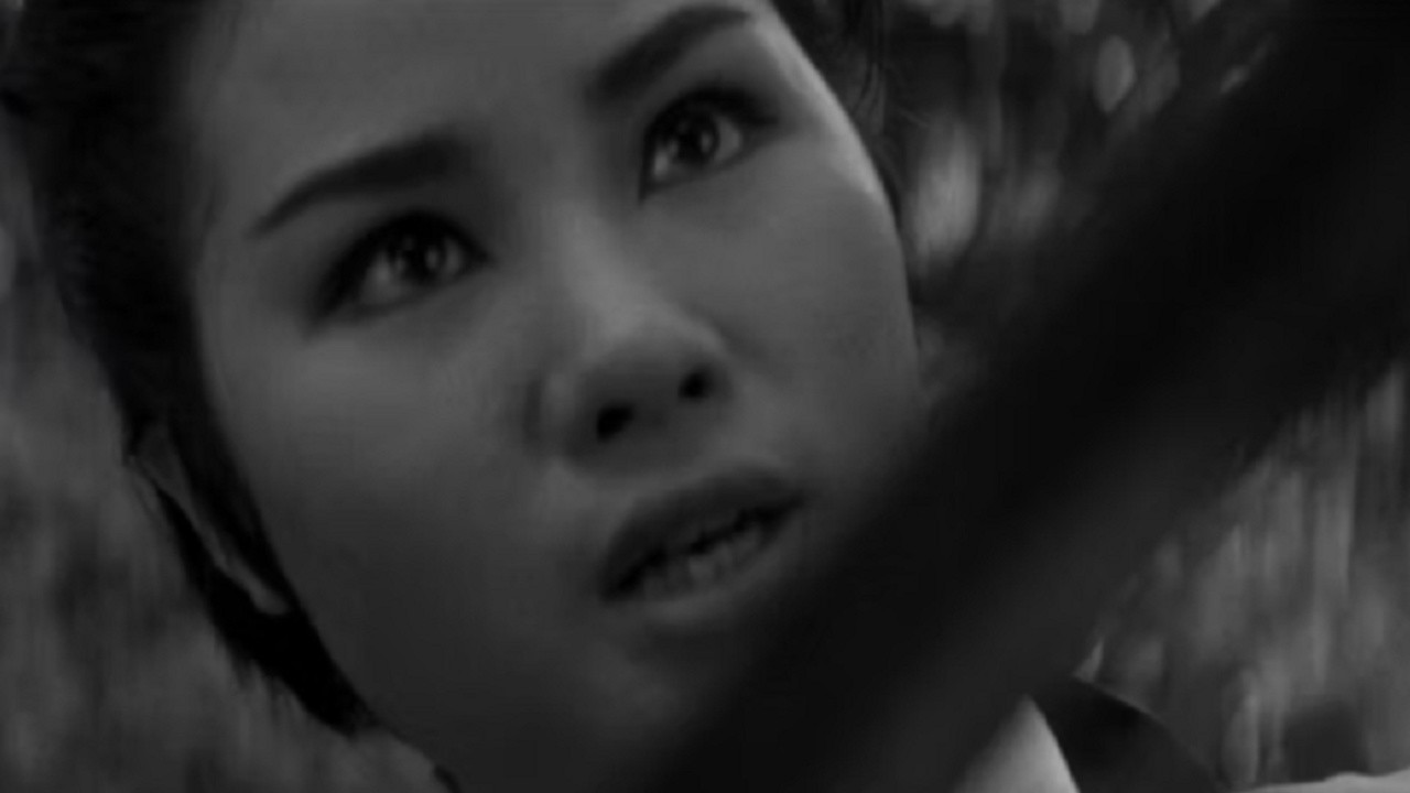 The Vengeance of the Phoenix Sisters (1968) | MUBI