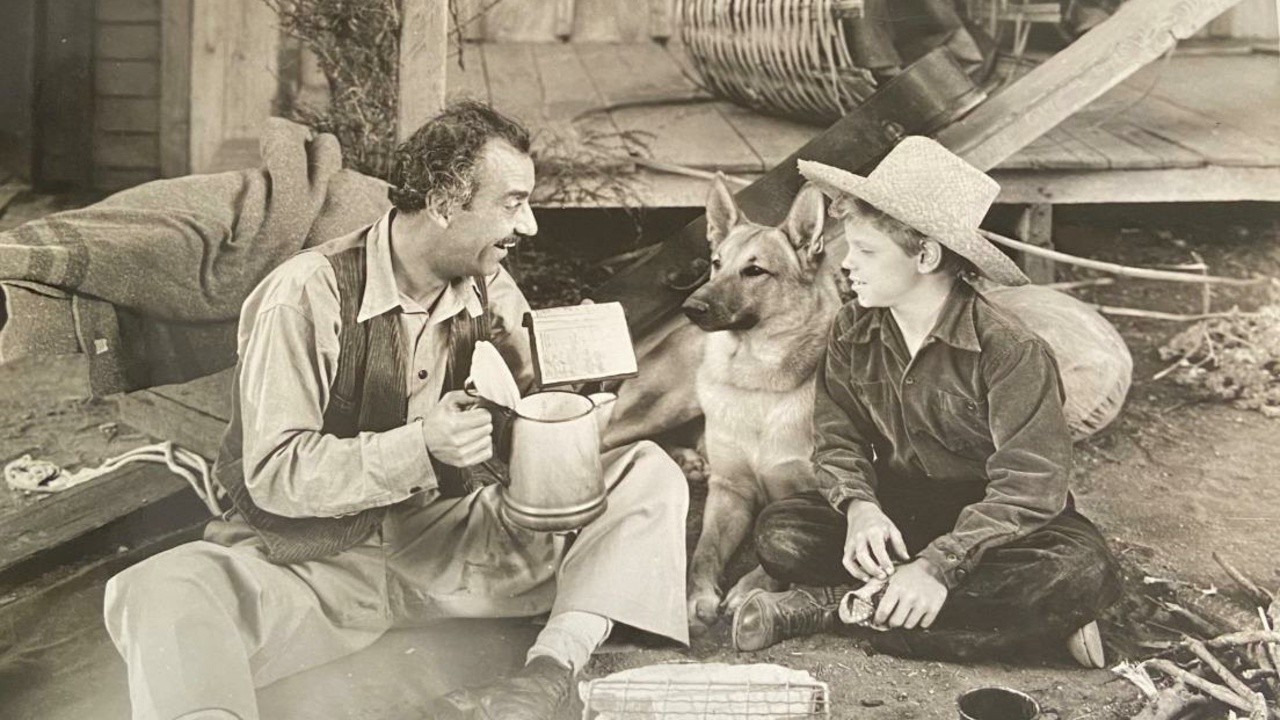 Shep Comes Home (1948) | MUBI