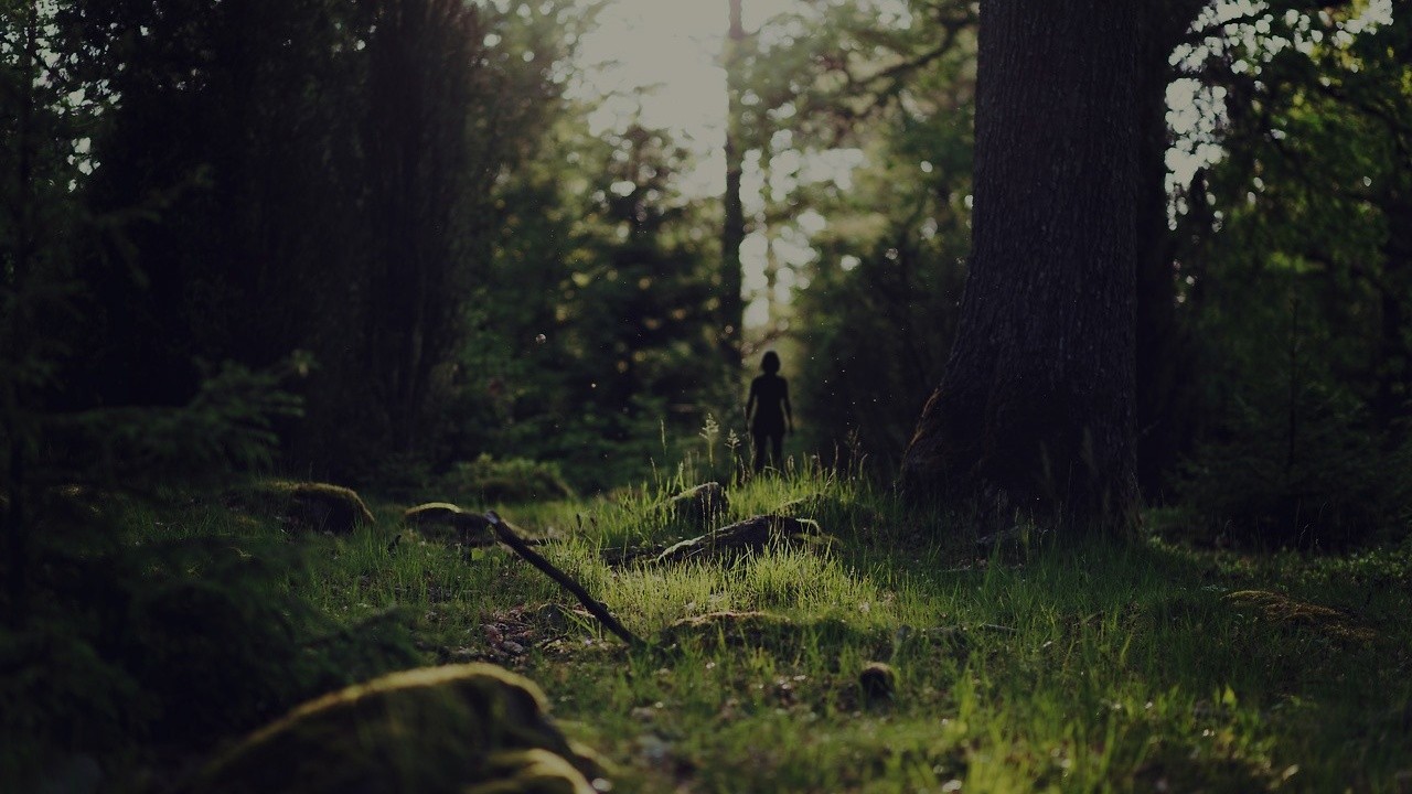 L'inhumain (2021) | MUBI