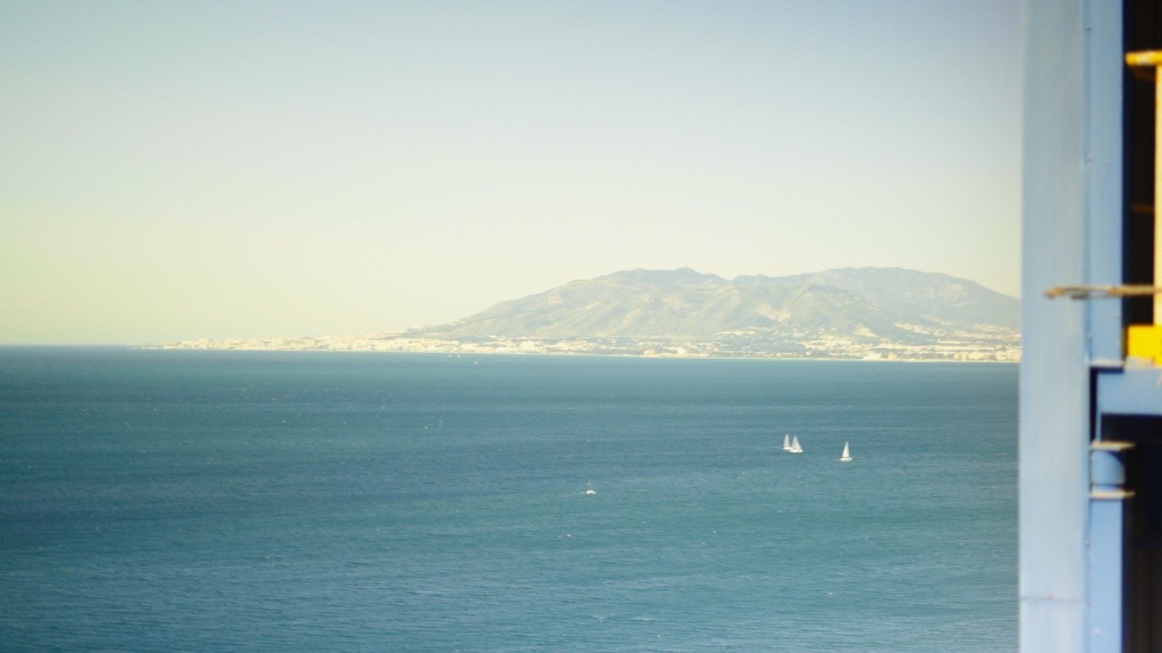 Caballo de espuma (2022) | MUBI