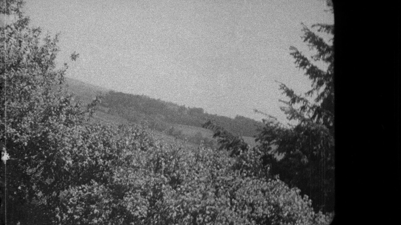 Camera Test (2022) | MUBI