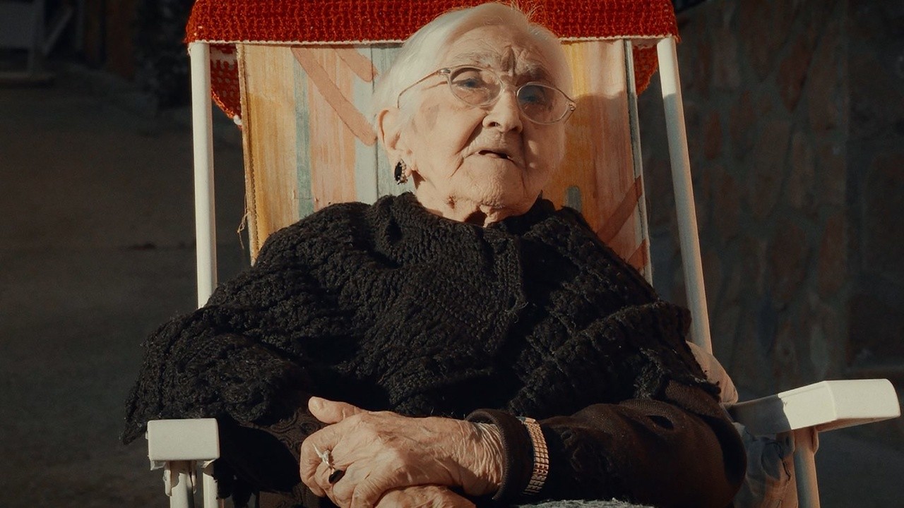 An Elephant on a Spider Web (2022) | MUBI