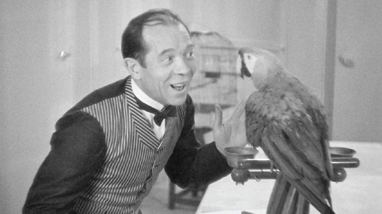 A Rare Bird (1935) | MUBI