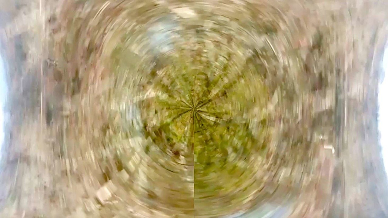 A Missing Storey (2022) | MUBI