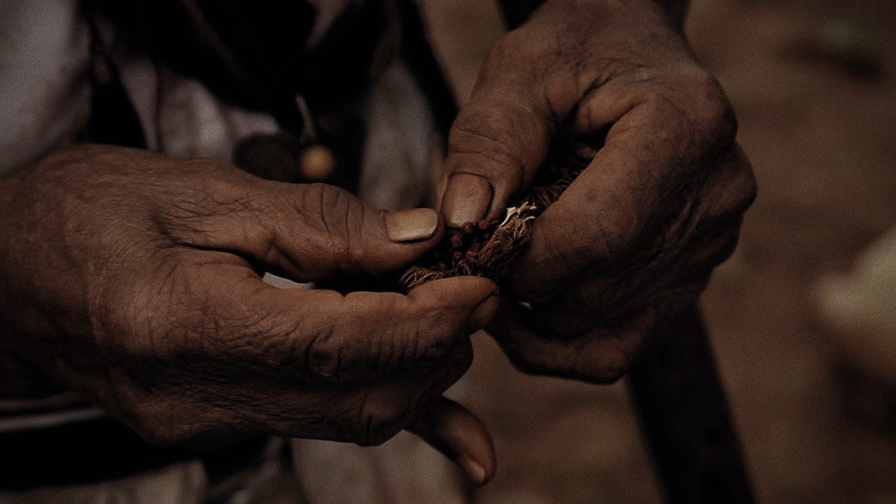 Ava Mocoi, the Twins (2022) | MUBI