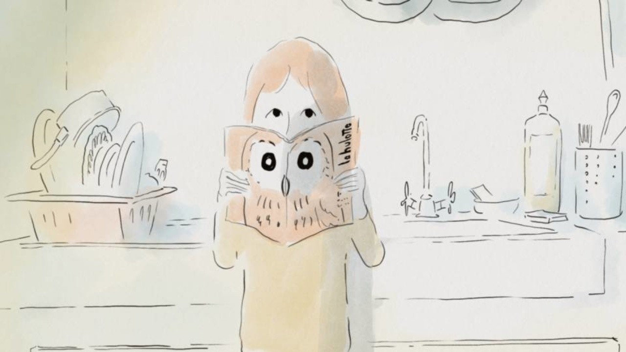 Funny Birds (2021) | MUBI